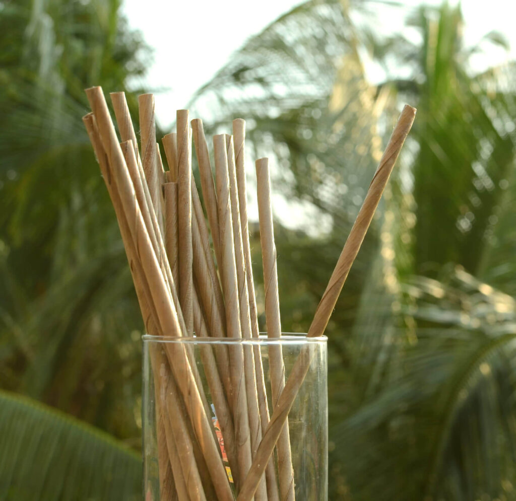 Eco-friendly & bio-degradeable drinking straws - Alternative to plastic ...